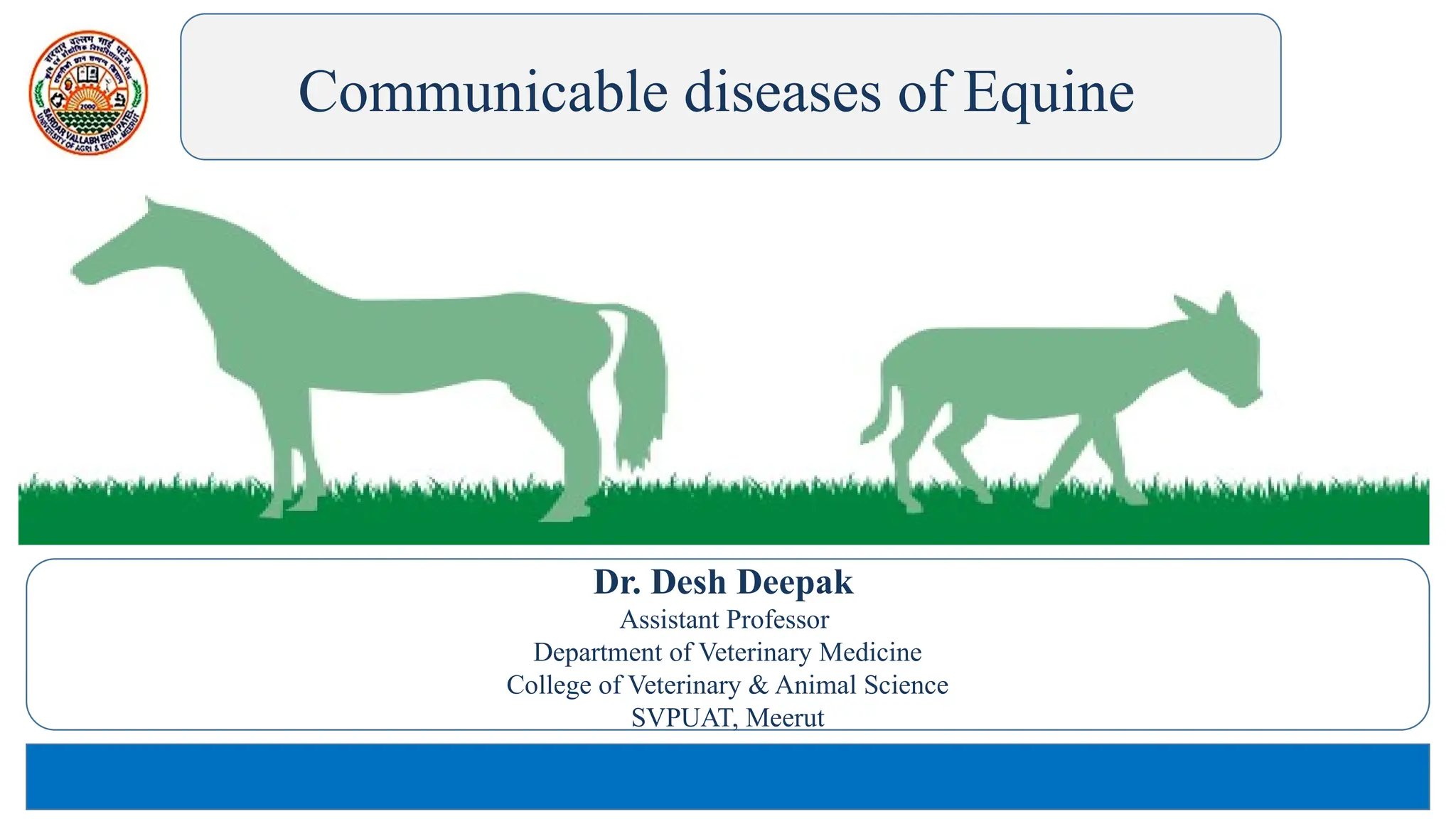 Communicable diseases of equines & prevention.pptx
