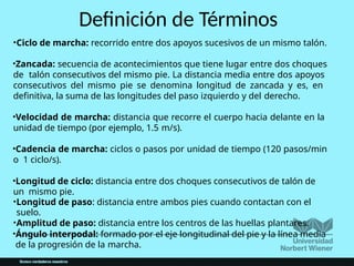 15.-_ANATOMIA_FUNCIONAL_MARCHA-convertido (1).pptx