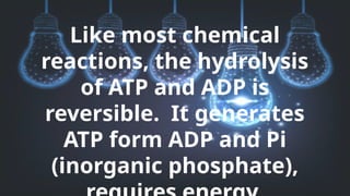 LECTURE AND DISCUSSION ATP-ADP-CYCLE-1.pptx