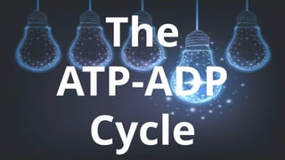 LECTURE AND DISCUSSION ATP-ADP-CYCLE-1.pptx