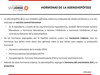 15.. SISTEMA NEUROENDOCRINO PSICOBIOLOGÍA | PPTX