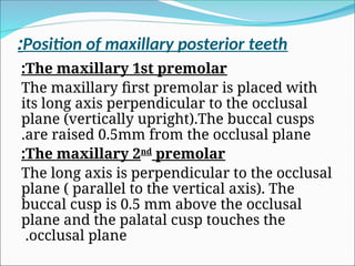 15. teeth arrangement posterior.ppt