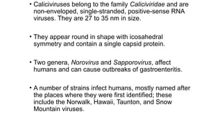 Gastroenteritis Viruses: Causes, Transmission, Symptoms, and Prevention ...