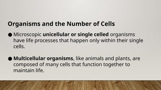 General science PowerPoint about bio.pptx