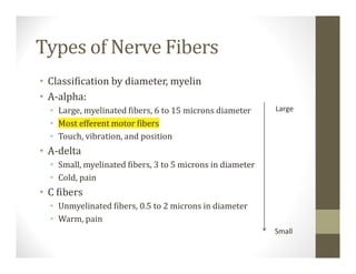 Neurology and physiology and anatomy .pdf