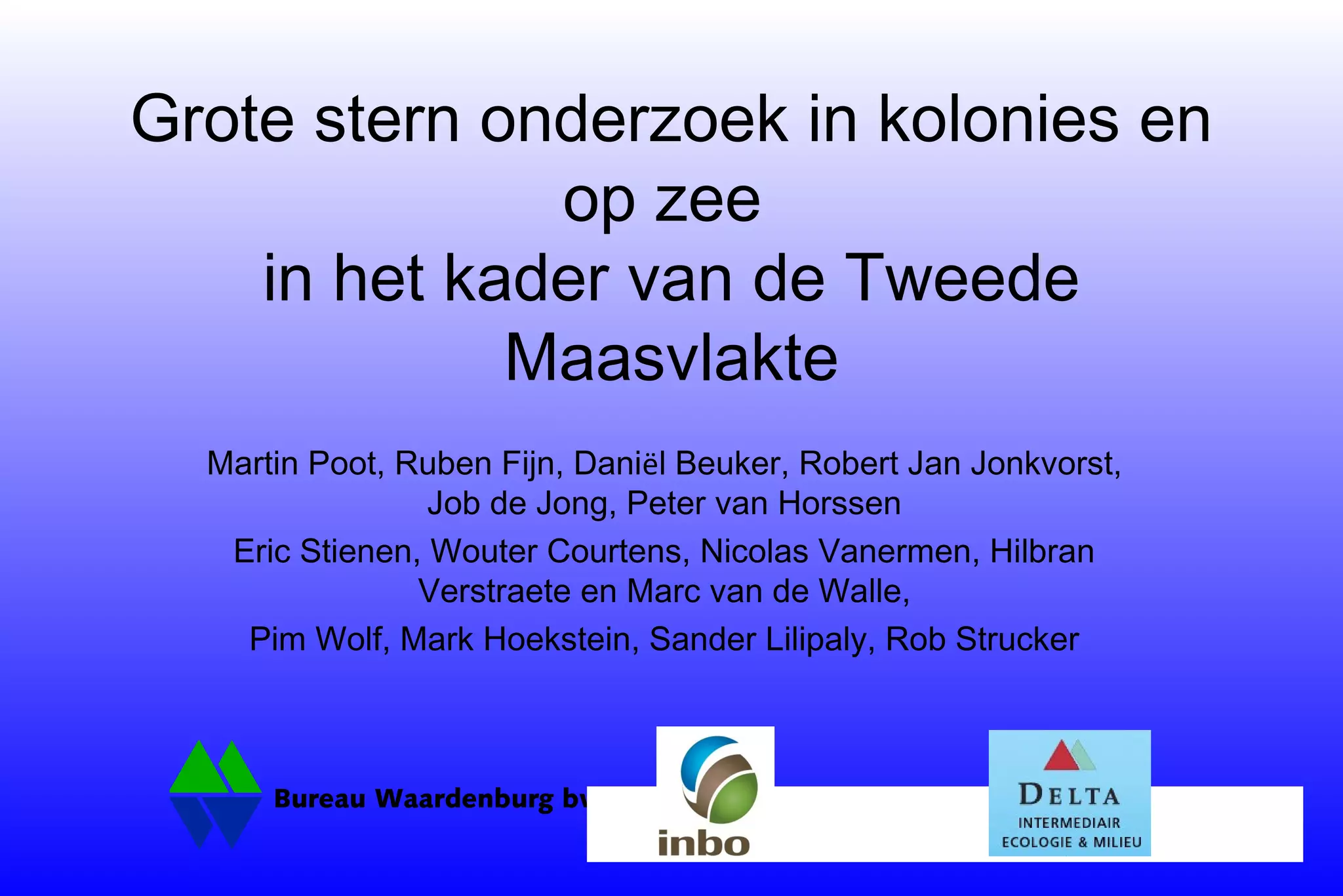Grote Sterns tweede maasvlakte |Martin Poot | PPT