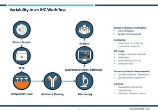 Improving Immunohistochemistry Standardization in your Laboratory ...