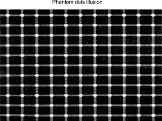 15 Amazing Illusions Pictures | PPT