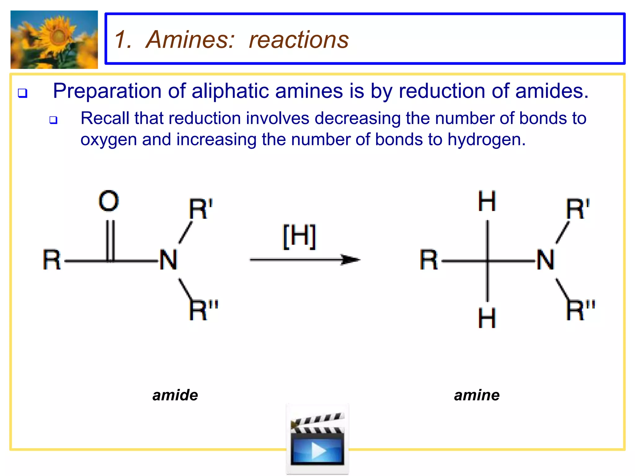 Amines and Amides | PPTX