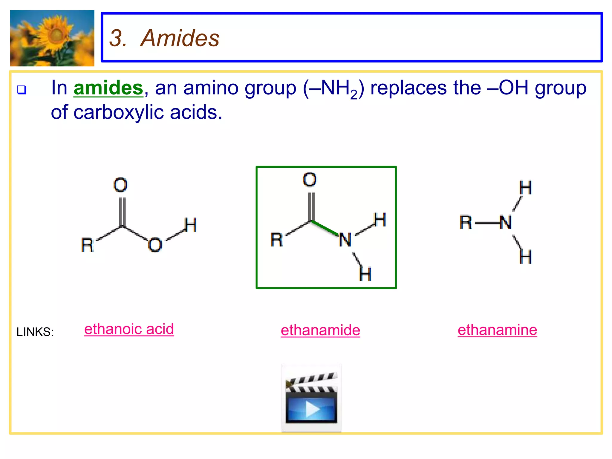 Amines and Amides | PPTX