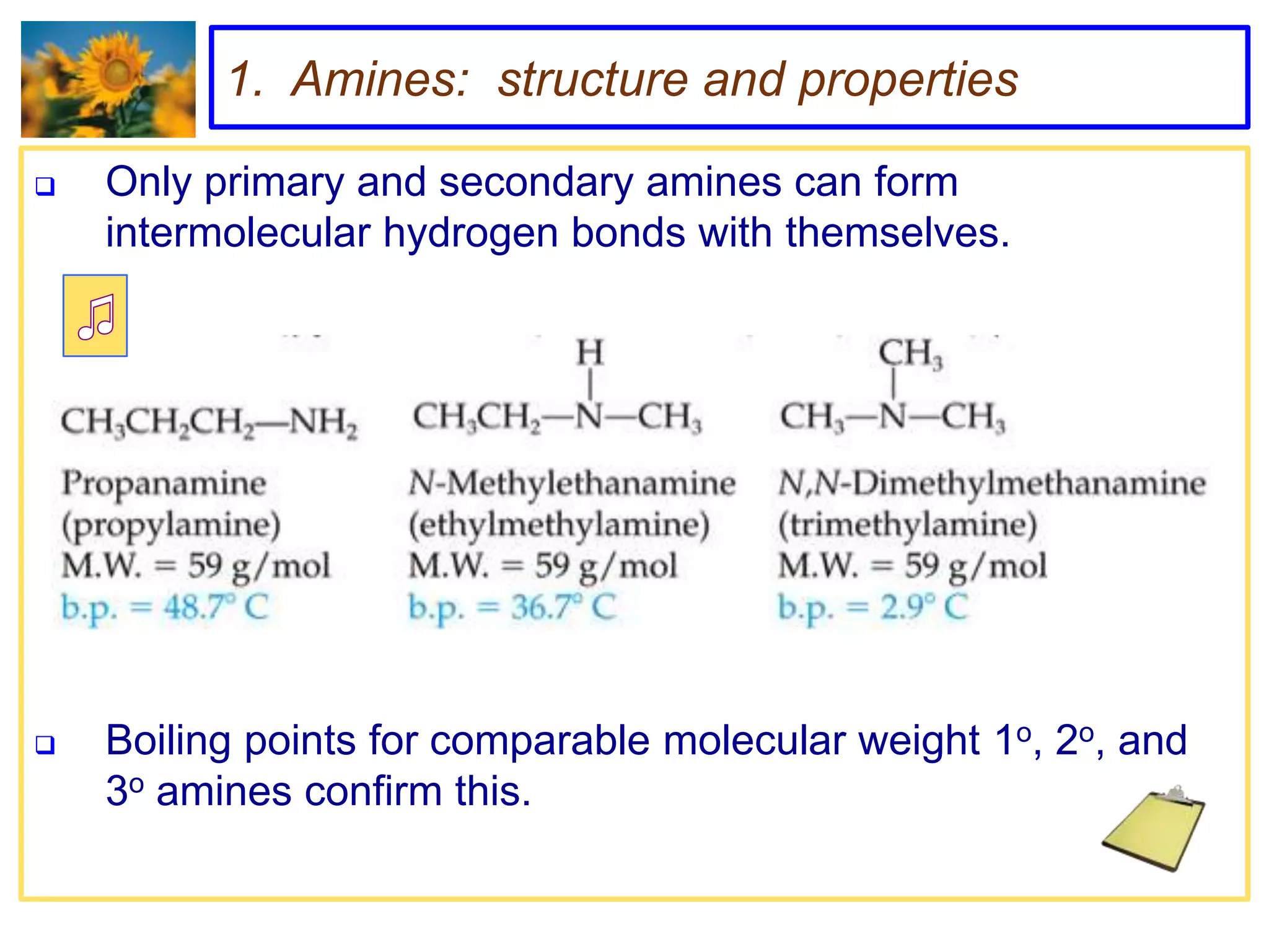 Amines and Amides | PPTX