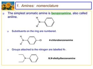 Amines and Amides | PPTX