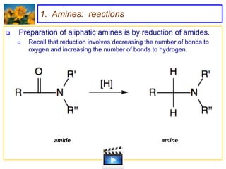 Amines and Amides | PPTX