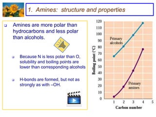 Amines and Amides | PPTX