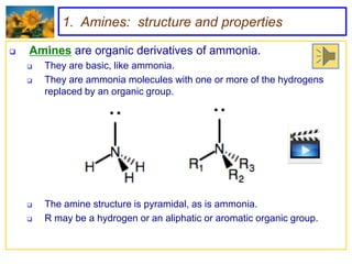 Amine Vs Amide Structure