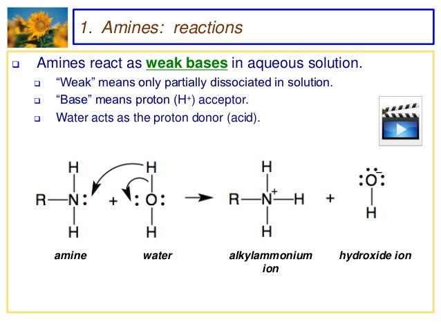Amines and Amides