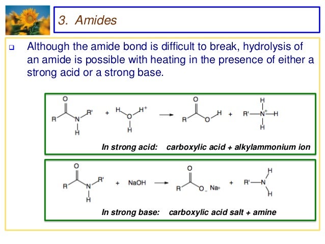 Amines and Amides