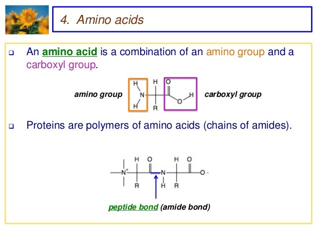 Amines and Amides