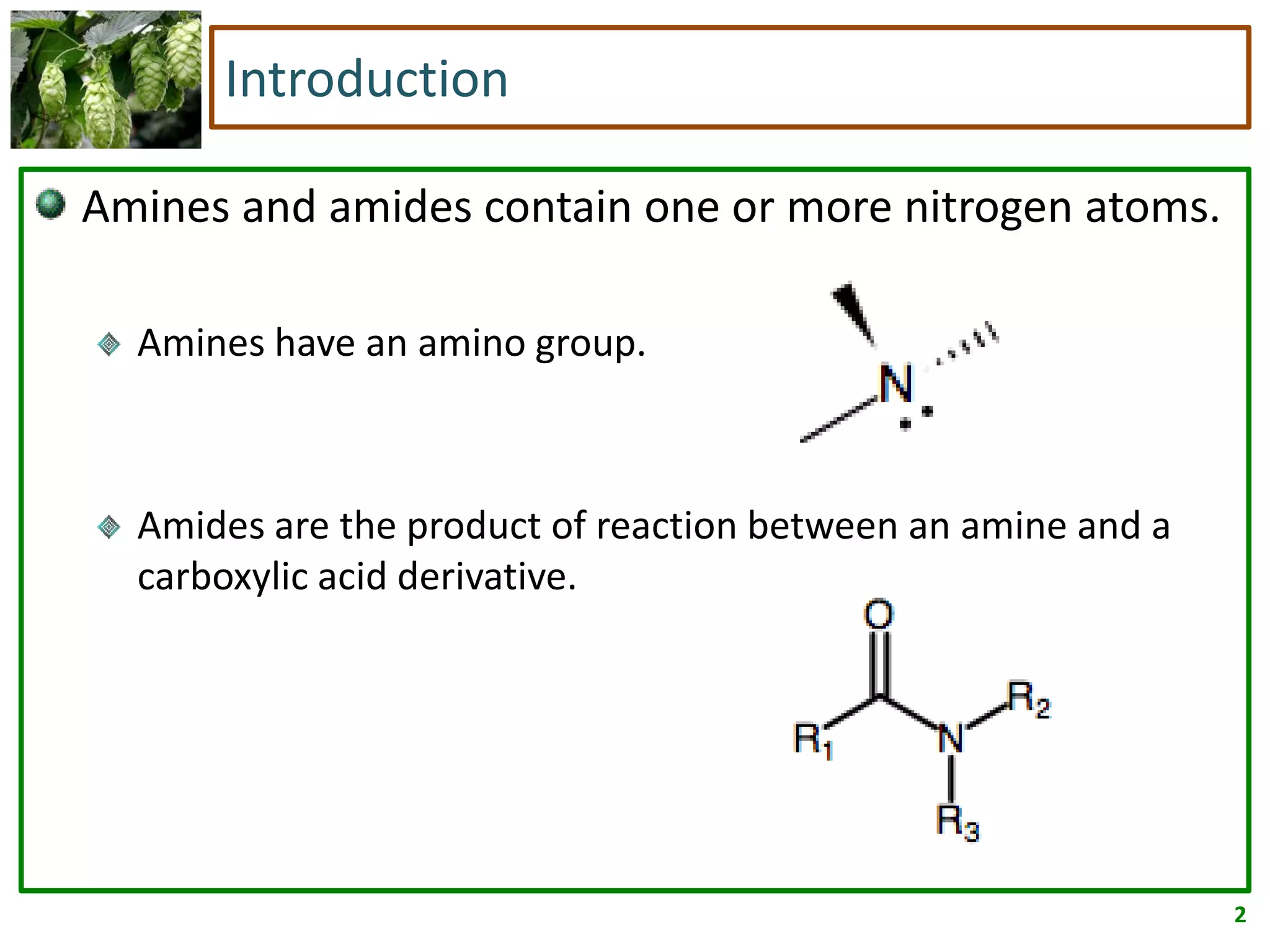 Amines and Amides | PPTX
