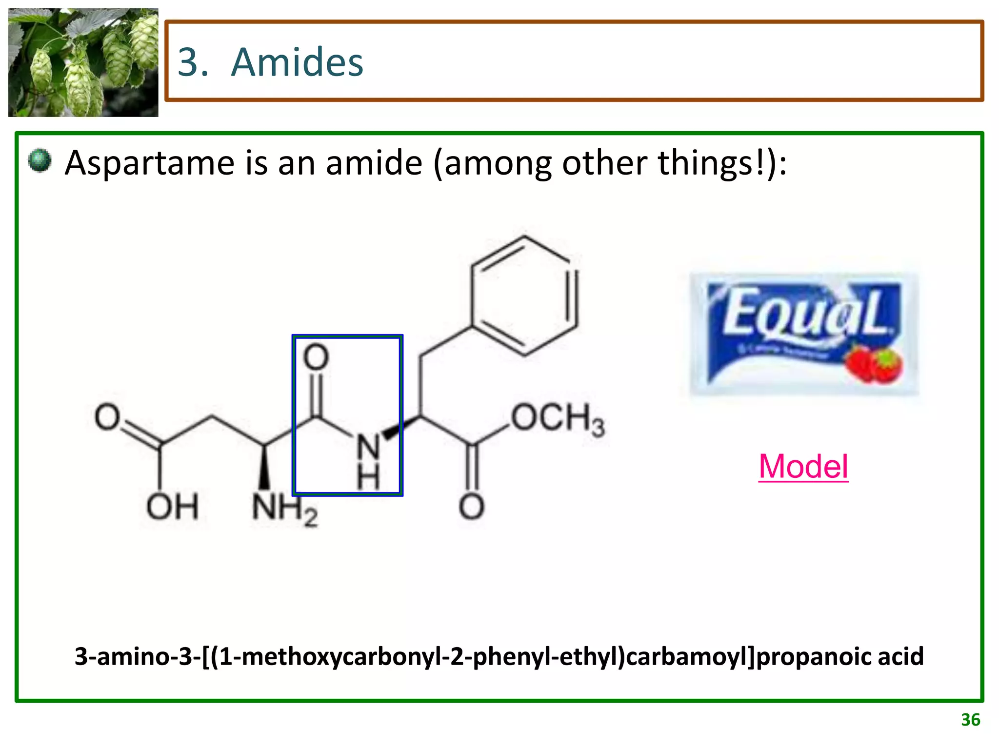 Amines and Amides | PPTX