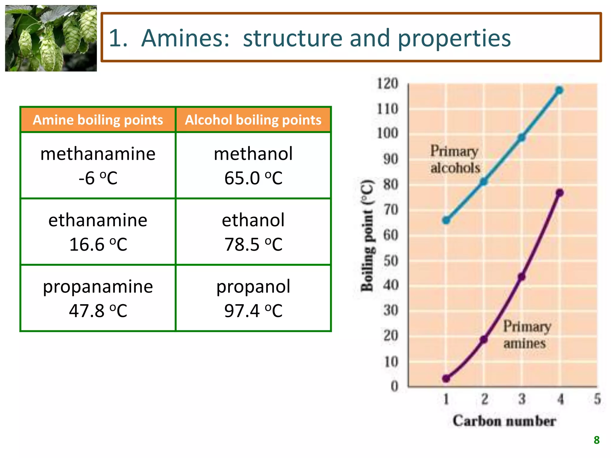 Amines and Amides | PPTX