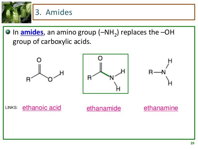 Amines and Amides