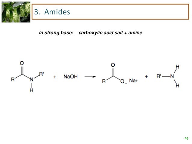 Amines and Amides