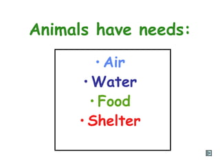 1.5 Animal Needs | PPT