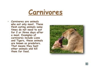 1.5 Animal Needs | PPT
