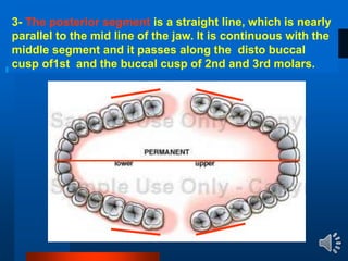 15 arrangements of teeth + curves of occ.audio | PPT