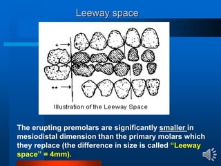 15 arrangements of teeth + curves of occ.audio | PPT