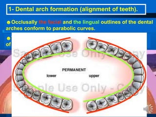 15 arrangements of teeth + curves of occ.audio | PPSX