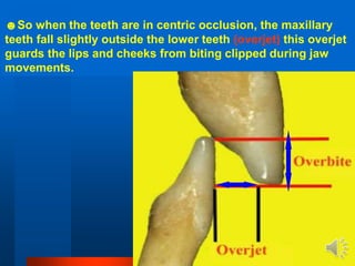 15 arrangements of teeth + curves of occ.audio | PPT