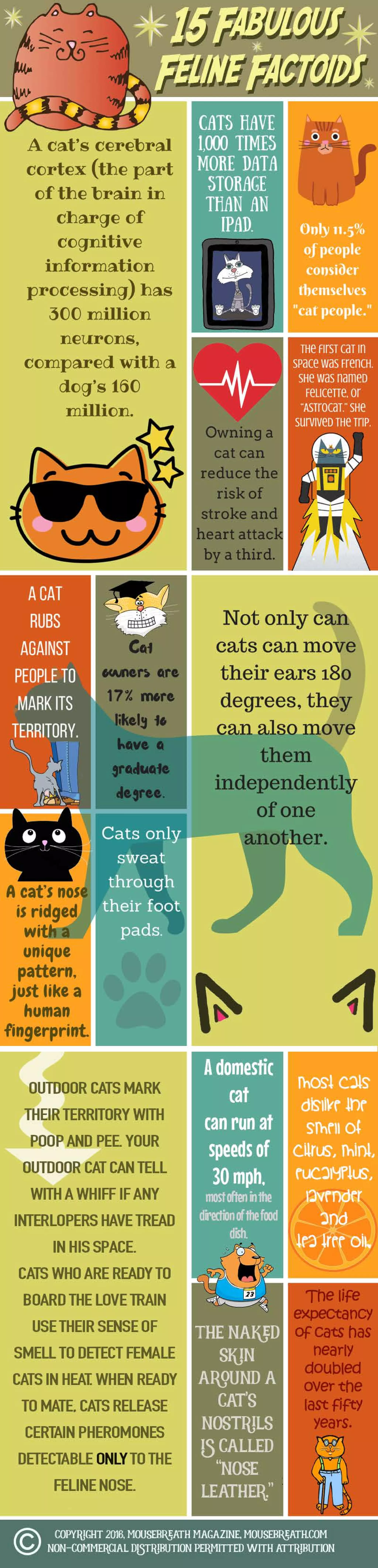 15 Fabulous Feline Factoids INFOGRAPHIC | PDF