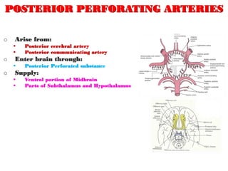 15-Cerebral Crculation.pdf666666666666666666 | PDF