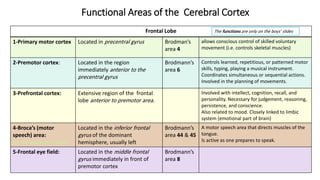 15- Cerebrum and Hemisphers (Edited).pdf