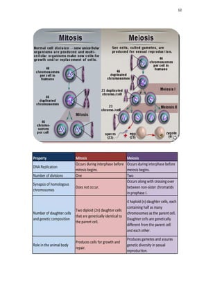 1 5 chapter 5. cell division-ali-2013 | PDF