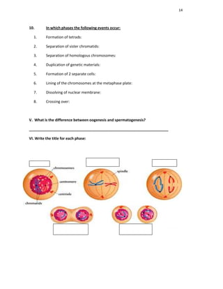 1 5 chapter 5. cell division-ali-2013 | PDF