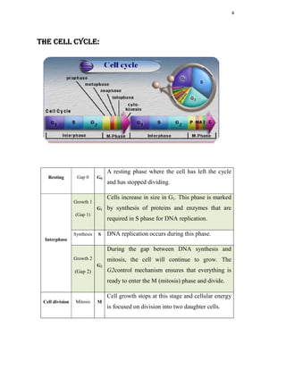 1 5 chapter 5. cell division-ali-2013 | PDF