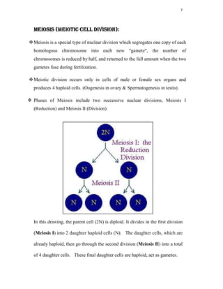1 5 chapter 5. cell division-ali-2013 | PDF | Infertility ...