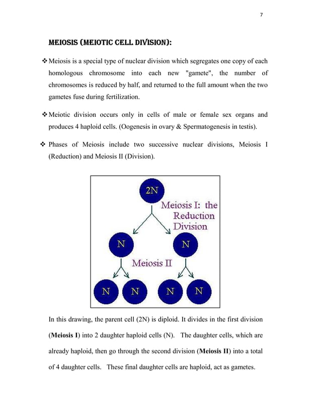 1 5 chapter 5. cell division-ali-2013 | PDF | Infertility ...