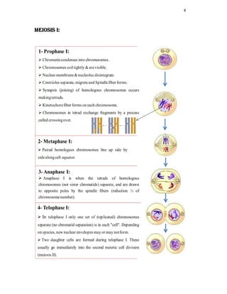 1 5 chapter 5. cell division-ali-2013 | PDF | Infertility ...
