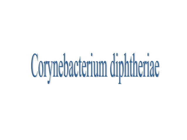 15 corynebacterium diphtheriae | PPT