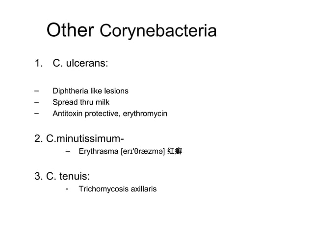 15 corynebacterium diphtheriae | PPT