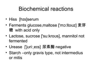 15 corynebacterium diphtheriae | PPT