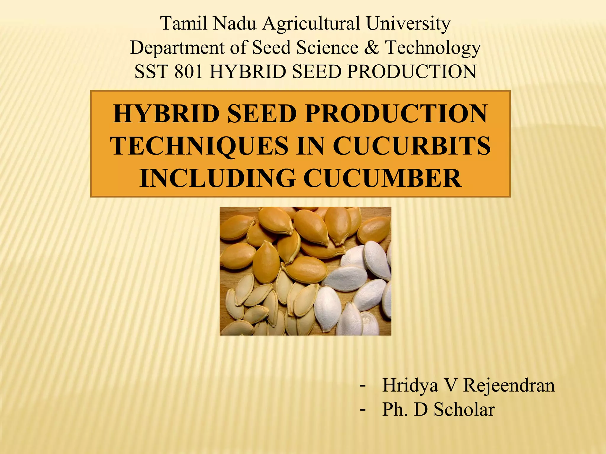 cucurbits seed production | PPT