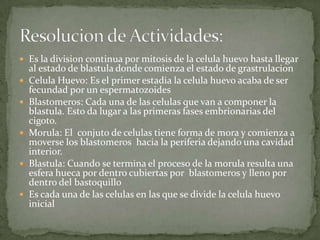 Desarrollo Embrionario | PPTX