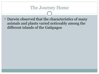 15 darwin’s theory of evolution (version 2) | PPT