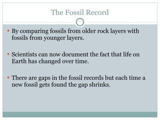 15 Darwin’S Theory Of Evolution (Version 2) | PPT