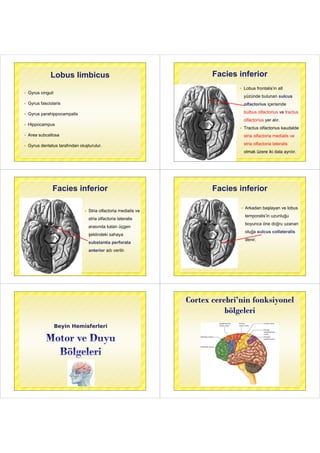15 dishek-3-beyinhemisfer-alanlar-beyazcev-zarlar-sinus-ventr-2015 | PDF